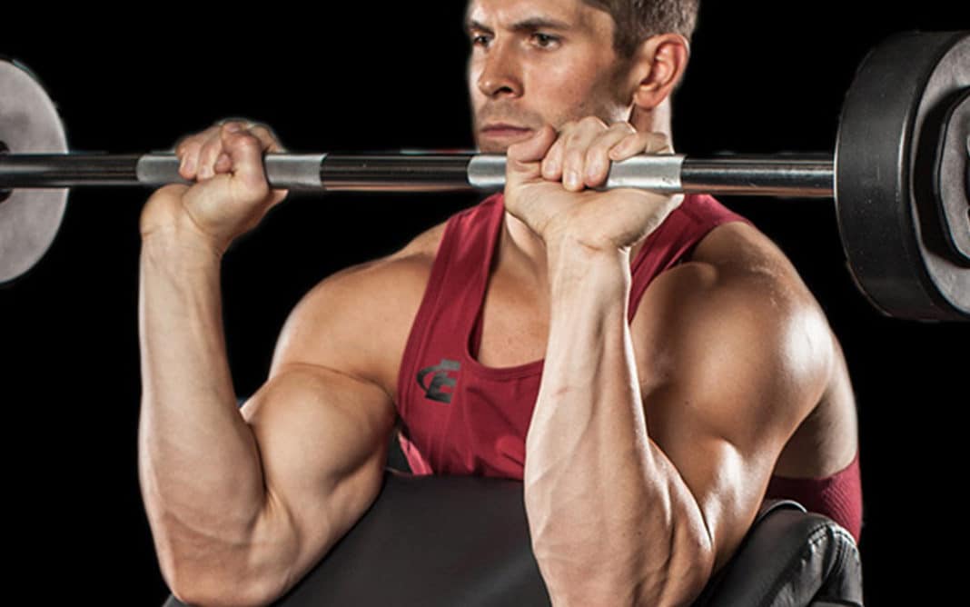 Exercices avant-bras pour homme : Comment travailler et muscler ses ...