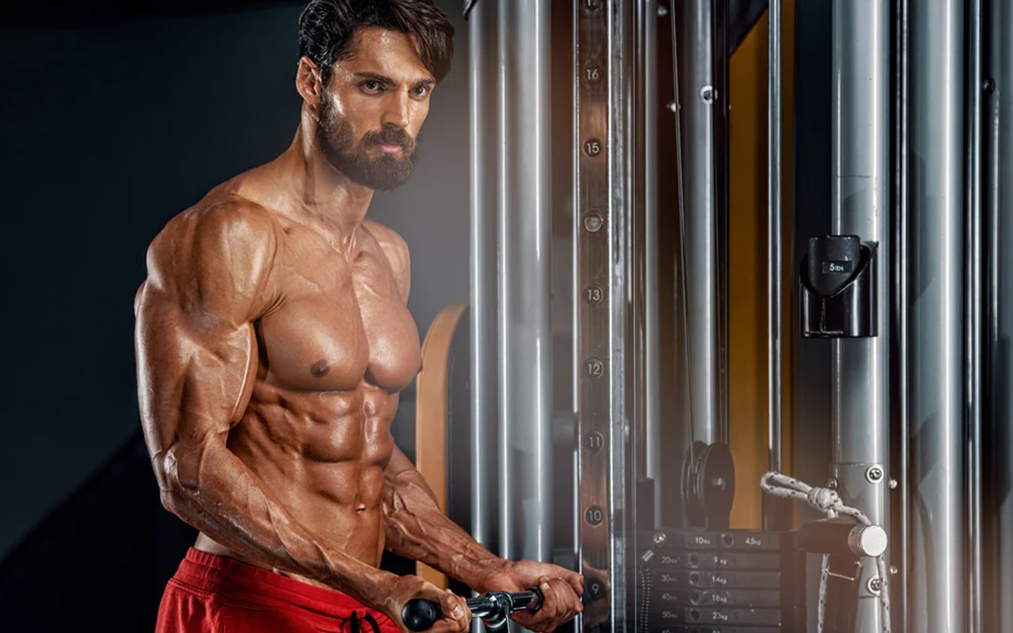 Exercices biceps pour homme : Comment travailler et muscler ses biceps ...